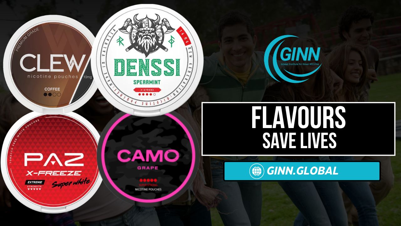 GINN Insight: WHO COP11 and the Flavour Ban Debate – Global Institute ...