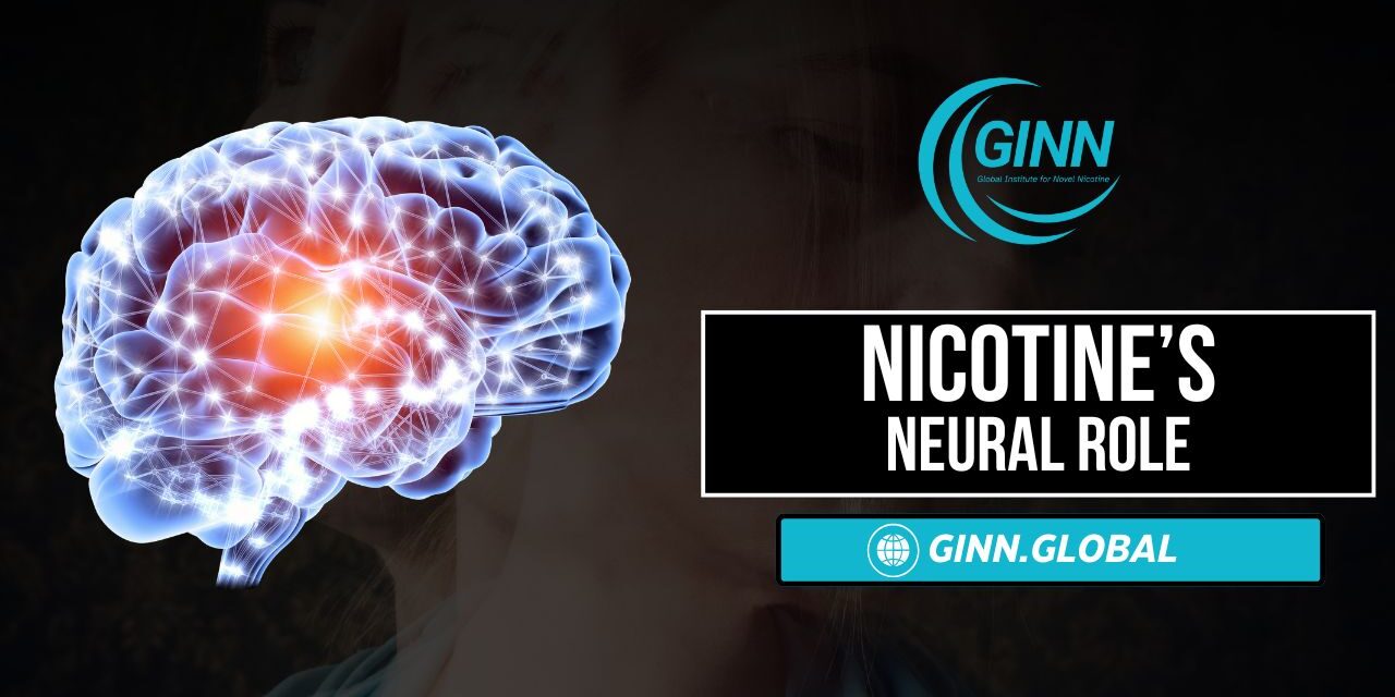 Rethinking Nicotine: Modulation, Mood, and Neuroprotection via nAChRs ...